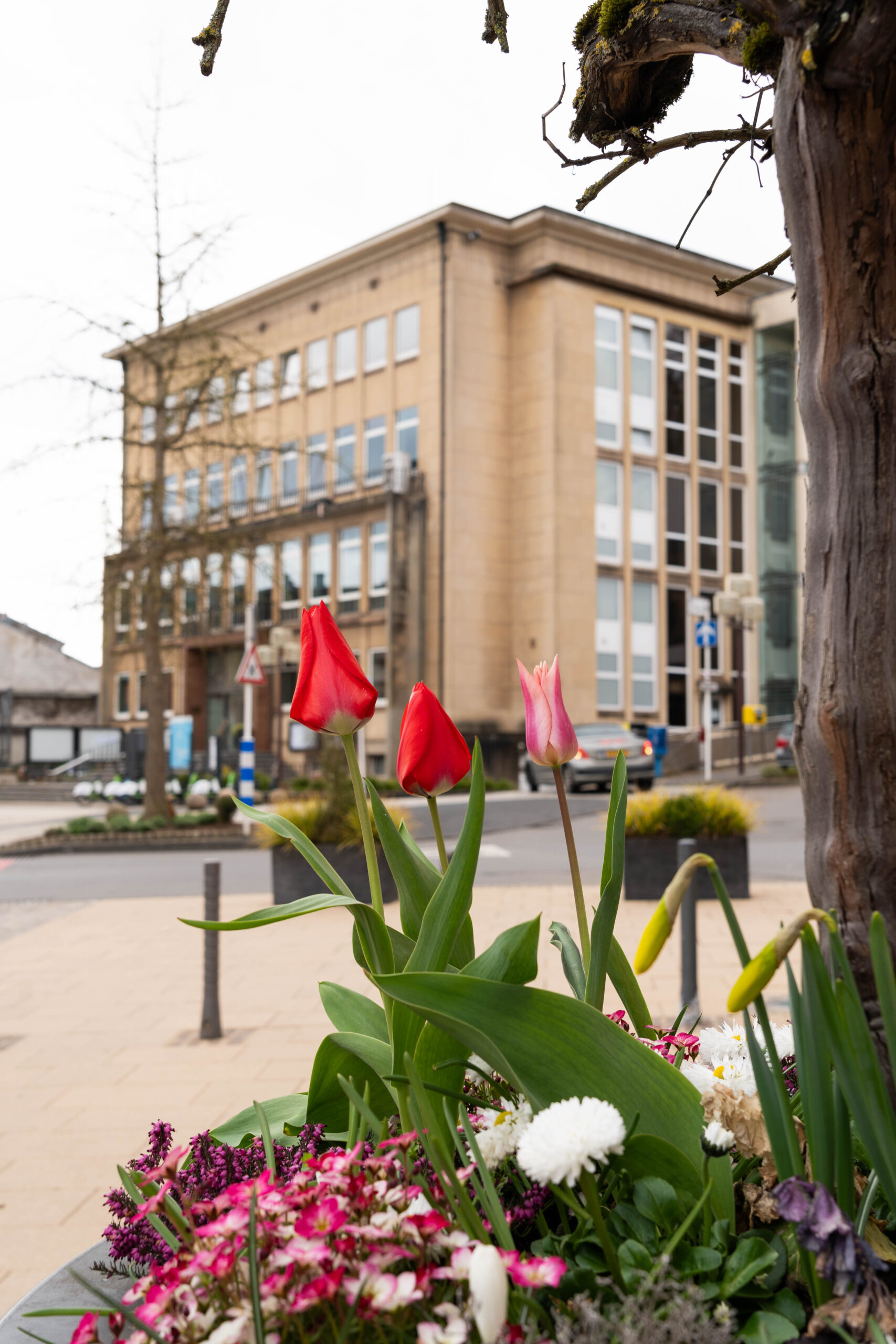 Die Stadt | Ville de Differdange
